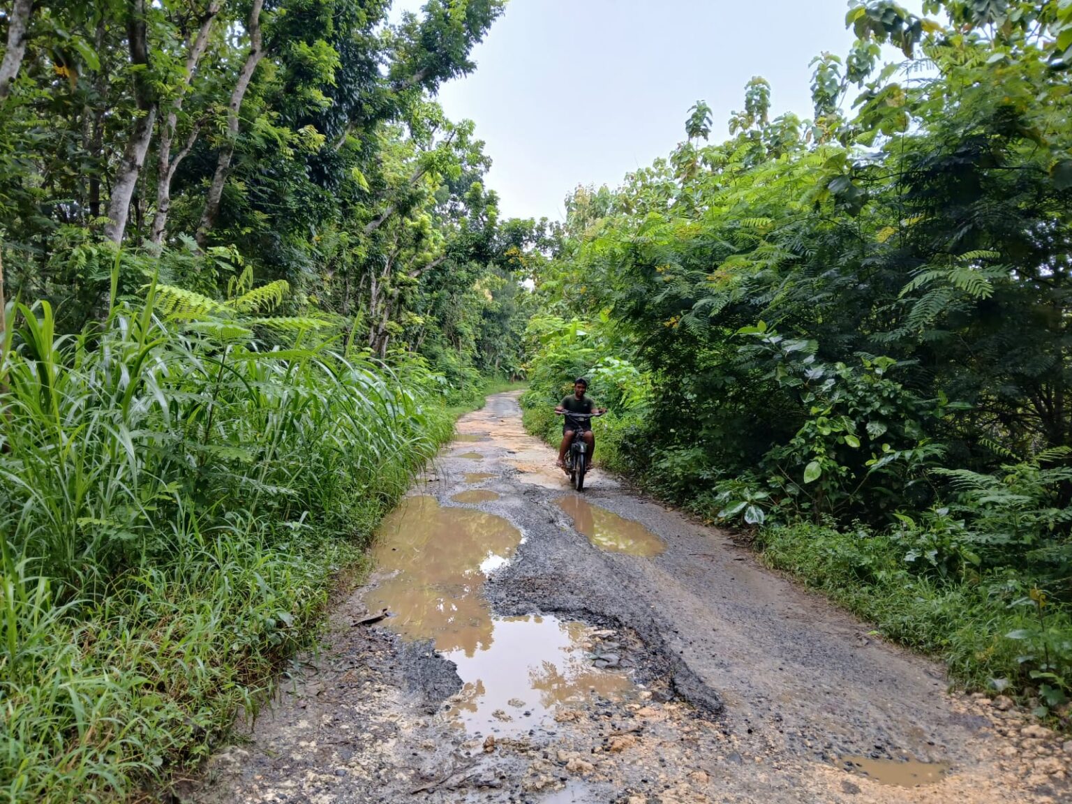 Jalan Rusak Bertahun-tahun, Pelajar Todanan Terancam Setiap Hari ...